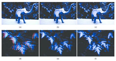 High Resolution Screen Capture Of Elephant Image Shown In A