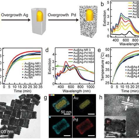 Auag‐pdps Janus Nano‐micro Structures And Their Optical Properties