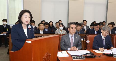 심상정 전세사기특별법에 피해자 지원법 아닌 피해자 선별법