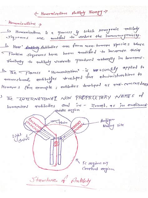 Humanization Antibody Therapy Pdf