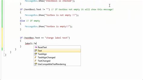 C Textbox And Label And Checkbox Tutorial Youtube