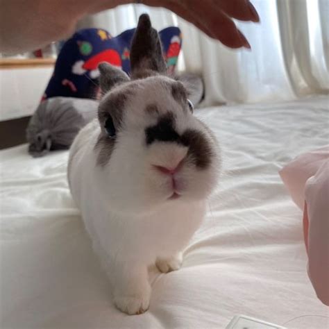 Nguyên Tú tiffanynnggnn Threads Say more