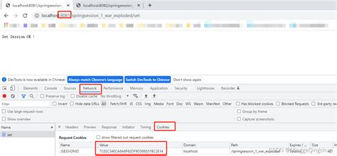 Java Springsession实现session共享 Csdn博客
