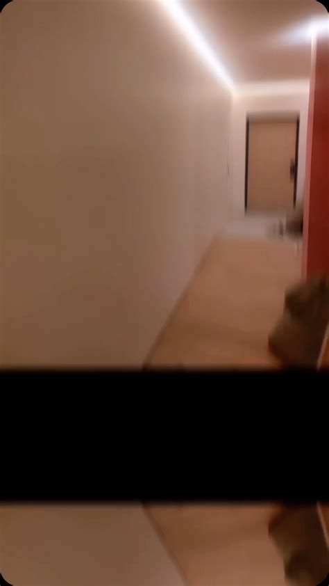 Ремонтно сервисная компания Официальная Строительная Компания профессионально выполнит любые