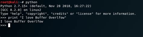 Python For Exploit Developers Part1 Buffer Overflows