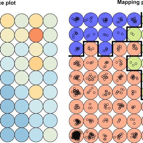 results of the self‐organizing map som analysis for 9 × 9 som map