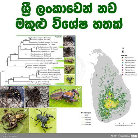 පරිසර සමාගම වර්ගීකරණ ජාලයක් ලිහා දමමින් ශ්‍රී ලංකා