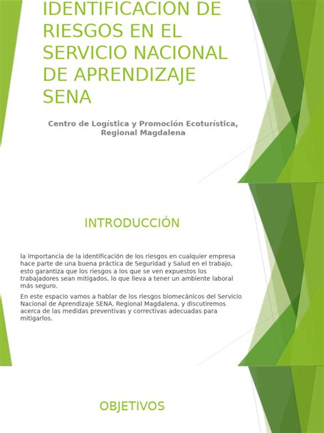Clasificacion Del Riesgo Pdf Dolor Lumbar
