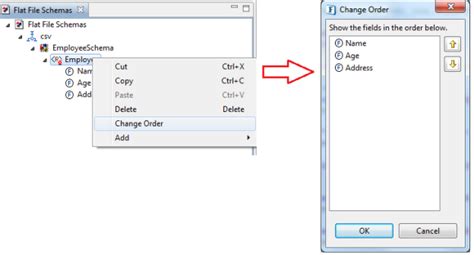 Flat File Schema Editor