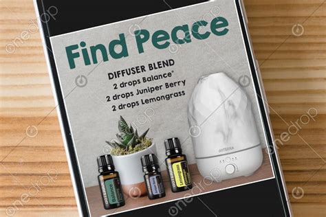 Find Peace Diffuser Blend By Maggie Spangler