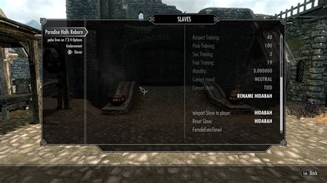 Paradise Halls Enhanced Pahe Repacked With The Customary Addons