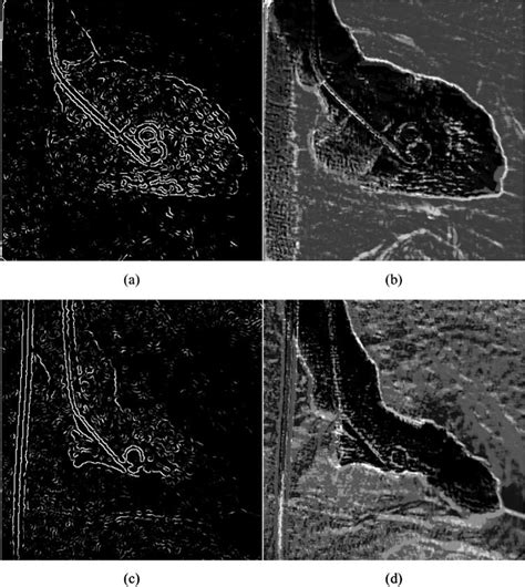 Comparison Of The Edges Detected By The Trained Ned With Those Detected Download Scientific