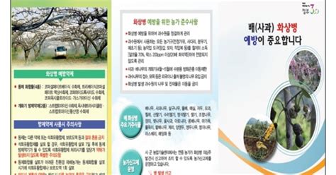 경기 안성서 과수 화상병 발생 농식품부 예찰·방제 대책실 설치