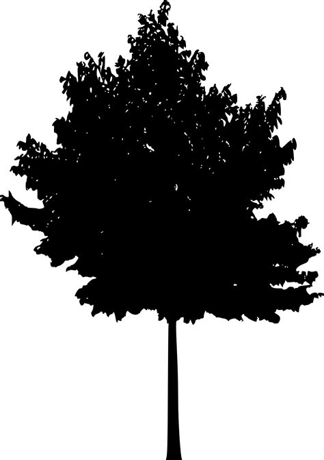 45 Tree Silhouettes Png Transparent Background Onlygfxcom