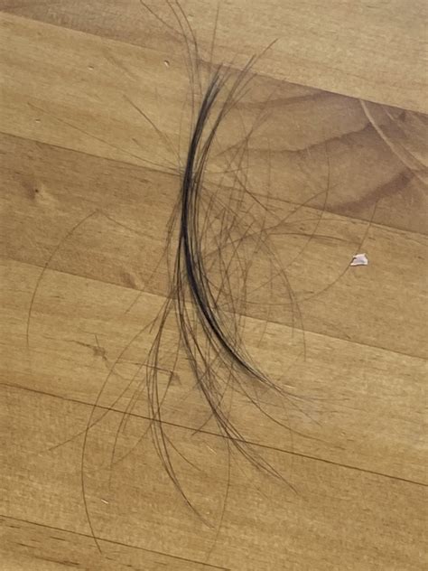 다니 On Twitter 2338 등원 5일차 생각보다 빠르게 난관에 봉착했다 집에서 각자의 시간을 보내고 있었는데 애가 혼자 머리를 잘라놓음왜그런가 했더니 누리