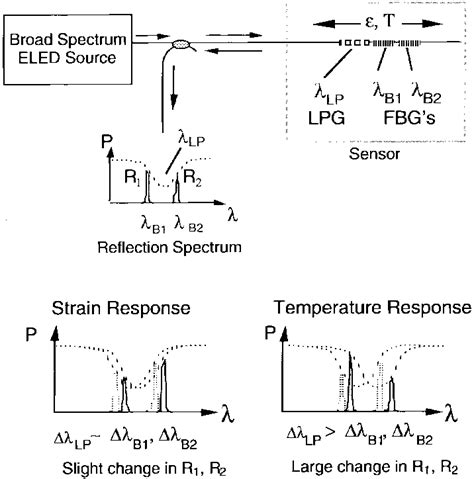 Schematic Of Hybrid Fbg Lpg Sensor For Simultaneous Strain And