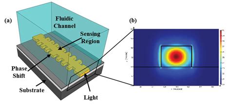 Strip Waveguide Bragg Grating Biosensor A 3d Schematic Rendering Of Download Scientific