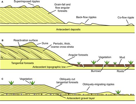 Schematics Denoting Possible Cross Stream Variation In Unit Bar Download Scientific Diagram