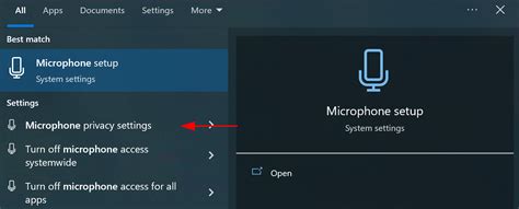 Microphone Forwarding To RDP Server Windows OS INTROSERV