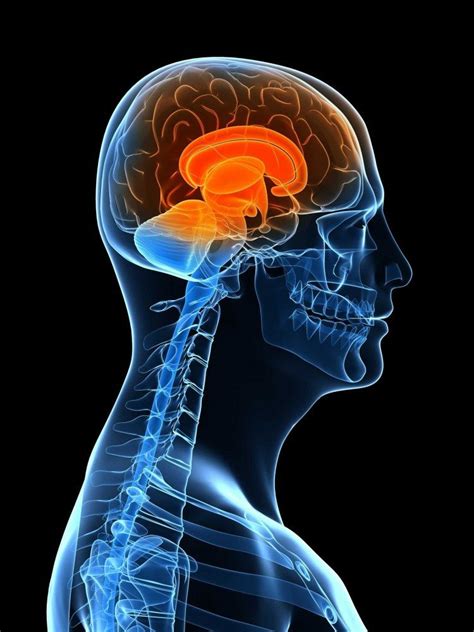 Multiple Sclerosis Bahrain This Week