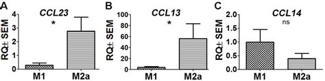 Figures And Data In Ccr1 Mediates Müller Cell Activation And