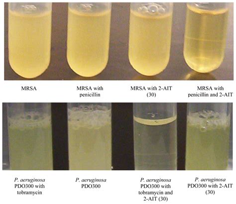 Pseudomonas Fluorescens Broth