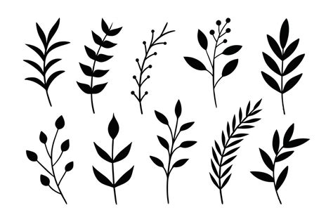 Set Of Boho Black Abstract Hand Drawn Plant Twig With Leaves Botanical Illustration On White
