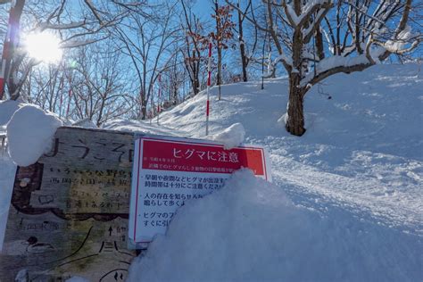 雪の札幌水源地 美蝶鳥散歩ー高尾湯殿川