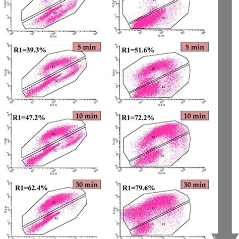 Time Dependent Flow Cytometry Plots For The Demonstration Of The Cell