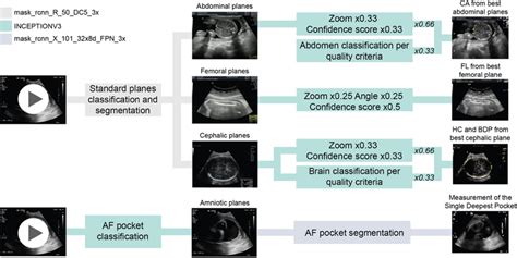 Flow Chart Of The End To End Automated Extraction Of Biometric Download Scientific Diagram