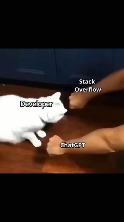 Shwati Kumar On Linkedin Programmer Programmingjourney Programmerhumor Programmingmemes