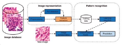 Typical Histopathology Automatic Image Analysis Workflow Download Scientific Diagram