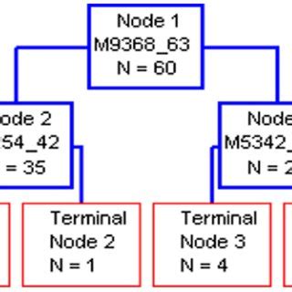 Classification Tree Model Learning Mode Download Scientific Diagram