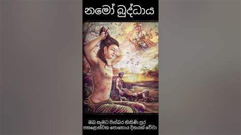 ඔබ සැමට පින්බර නිකිණි පුර පසළොස්වක පොහොය දිනයක් වේවා Youtube