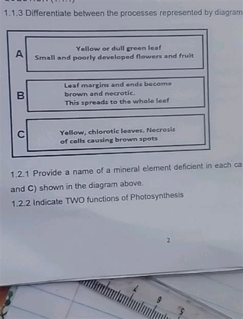 113 Differentiate Between The Processes StudyX
