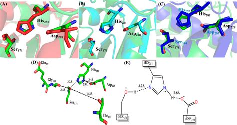 Colour Online Identification Of Catalytic Triads Structural Download Scientific Diagram