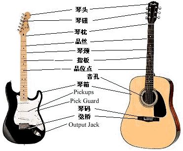 吉他的构造 吉他的 吉他品柱 第11页 大山谷图库