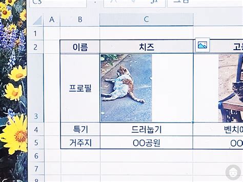 엑셀 이미지 셀에 배치하기 그림 정렬 및 크기 조정 꿀팁 네이버 블로그