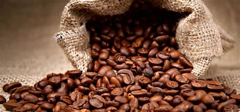 Coffee Export Earns 204mln Usd In Three Months