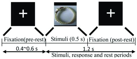 Schematic Diagram Of Stimulus Presentation In The Experiment Download Scientific Diagram