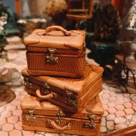 Croc Luggage By Sylvia Roundtree Artofit