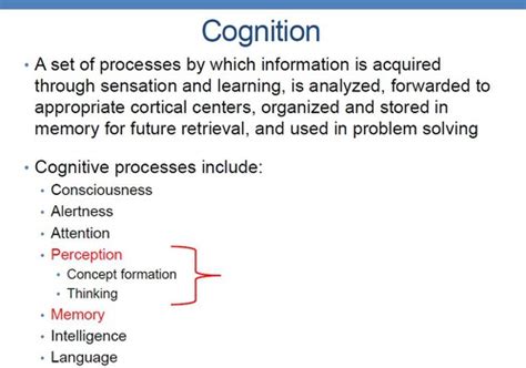 L14 Flashcards Quizlet