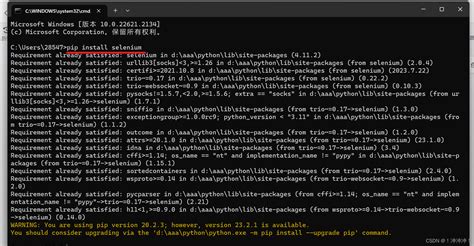 Python安装selselenium，chromedriver，秒杀脚本教程python Chromedriver 和selenium