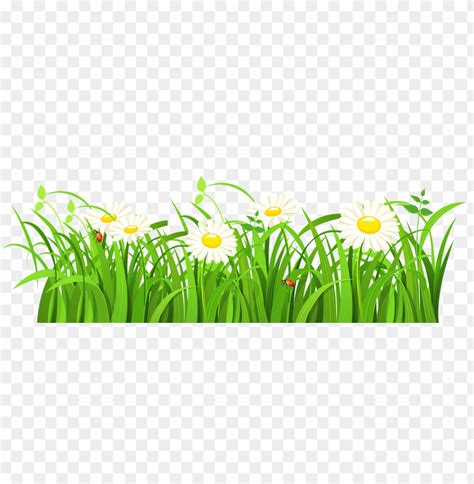 Free Download Hd Png Png Image Of Grass Vector With A Clear Free Download Hd Png Png Image Of Grass Vector With A Clear