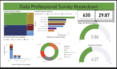 data professionals survey on programming language and happiness mohd