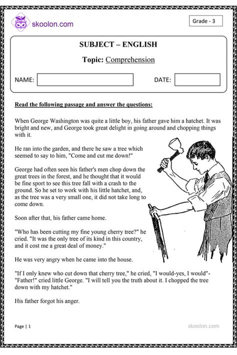 Comprehension Little Boy