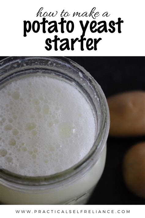 Potato Yeast Starter For Baking Bread Artofit