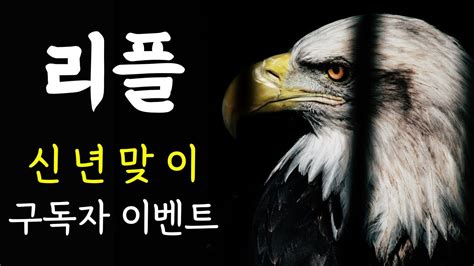 리플 이벤트 하겠습니다 개꿀~ Youtube