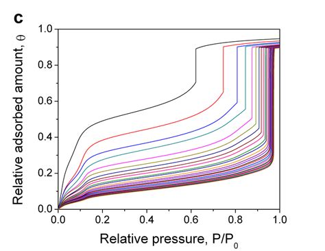 A Sorption Isotherms Exemplifying Liquid Bridging Solid Black Line Download Scientific