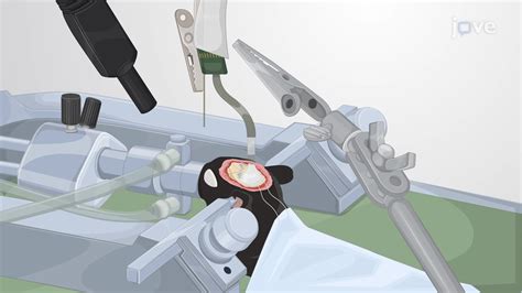 Video Recording Brain Electrical Activity In Behaving Mice Using Multi Shank Linear Silicon